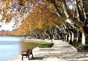 Nanjing travel guide | Tourist attractions & tips on where to go in ...